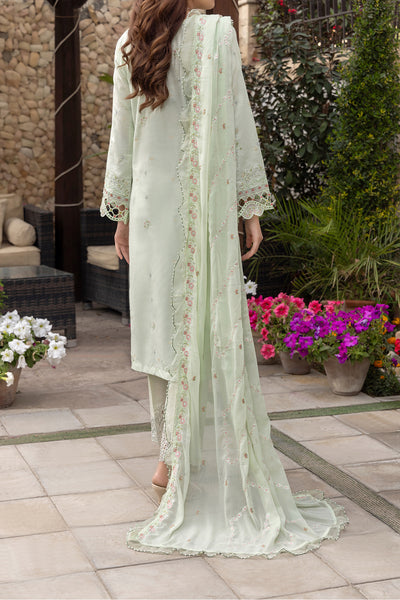 Shanzey Designer Collection D1 – HafizTextile